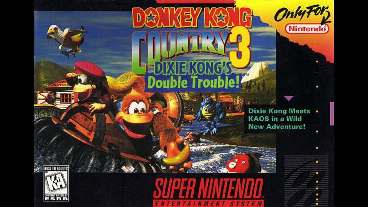 Donkey Kong Country 3: Dixie Kong's Double Trouble OST - Wrinkly's Save Cave - YouTube