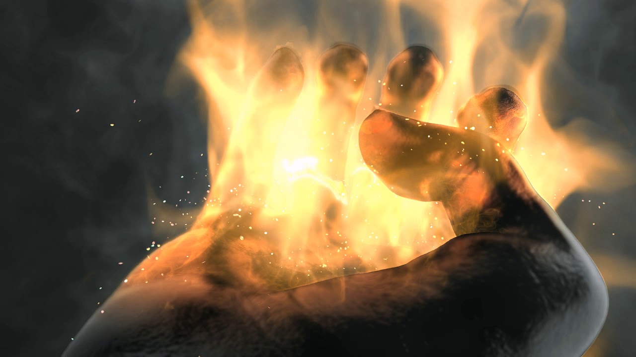 Fire Hand Logo Animation Sample | Hire Logo Animator | Best Logo ...