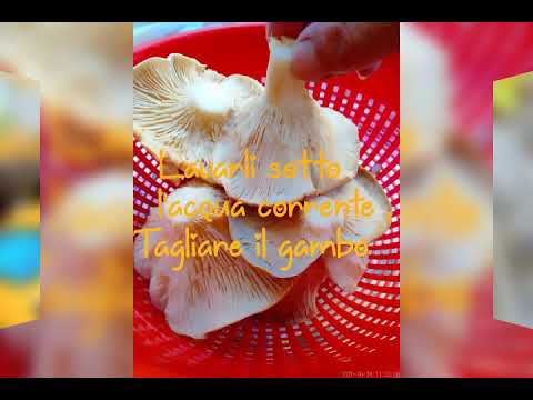 Funghi di Ferla Ricetta 😊 - YouTube