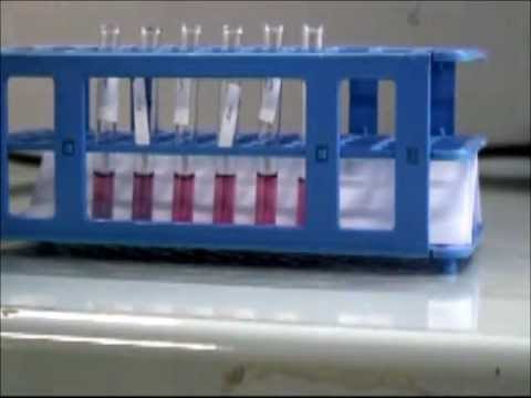 Production of lateral flow test in a basic equipped lab - YouTube