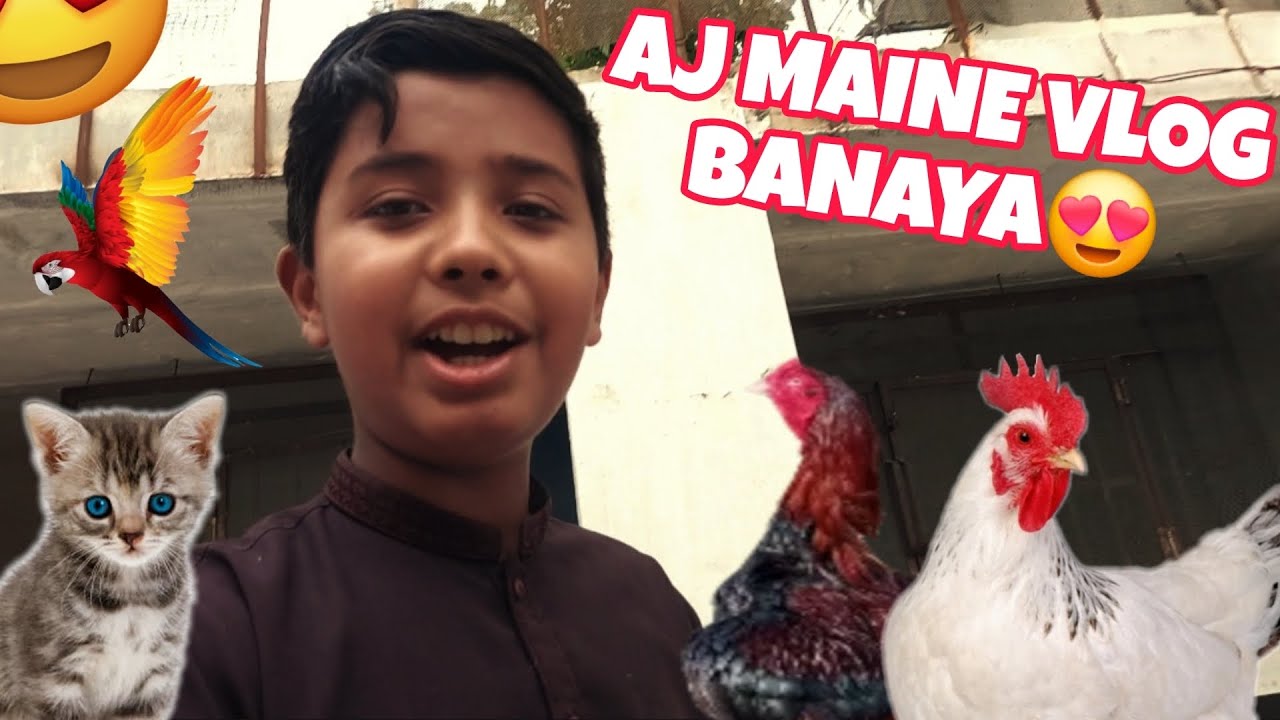 AJ MAINE VLOG BANAYA 😍 || ANAS PARH RAHA THA😩 || ANAS VLOGS - YouTube