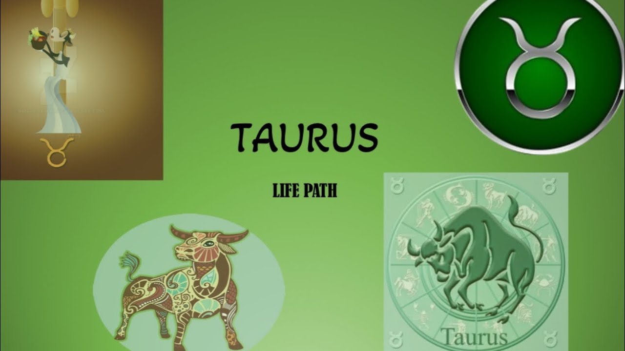 Taurus And their Life Path Numbers - YouTube