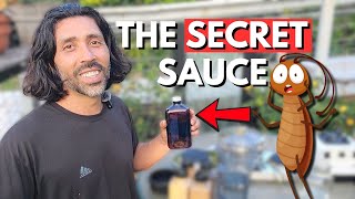 The PROVEN Homemade Garden Bug Spray That Insects AVOID Like The Plague!