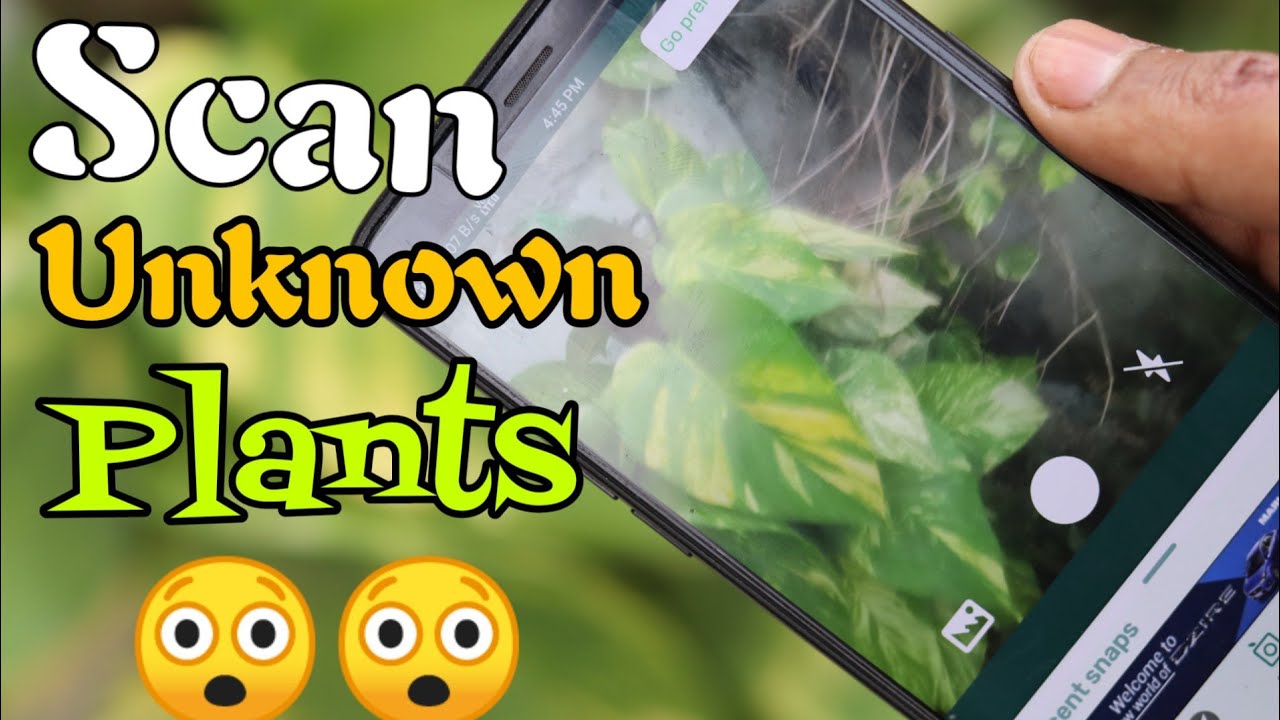 SCAN PLANTS & TREES GET IDENTIFIED 📸🌱 MrTechG - YouTube