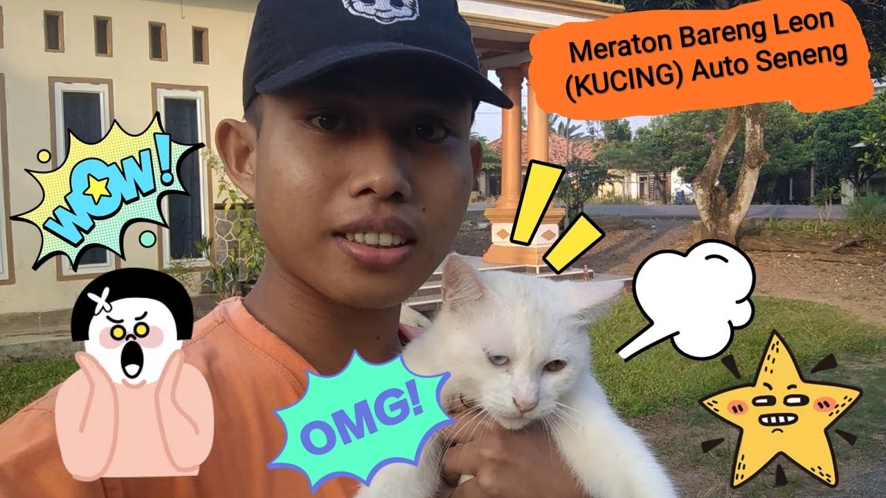 MERATON BARENG LEON (KUCING) AUTO SENENG - YouTube