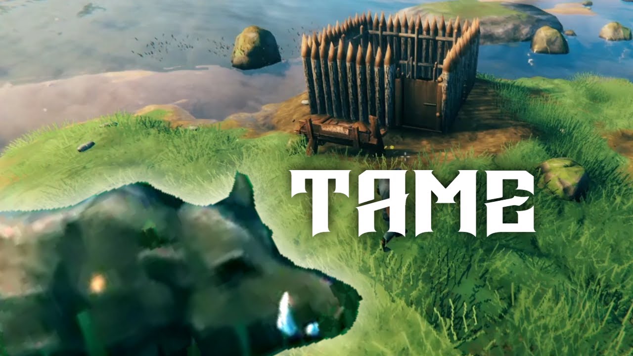 How to Tame Boar in Valheim - YouTube