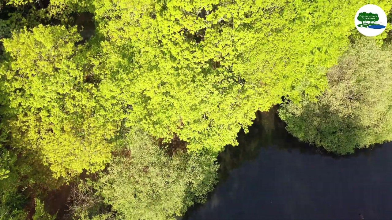 Chislehurst Commons - An Aerial View 2019 - YouTube