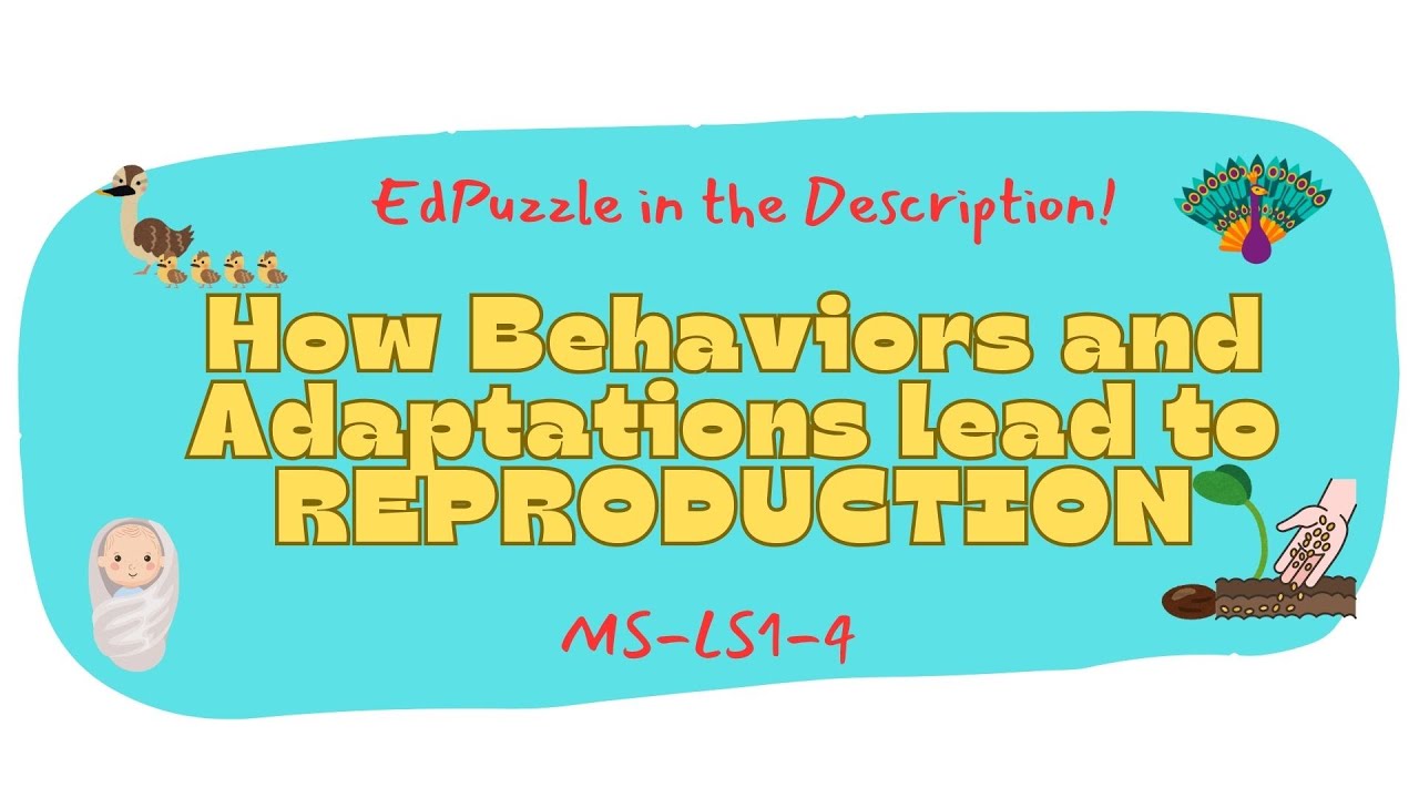 How Behaviors and Adaptations Help PLANTS and ANIMALS Reproduce. MS-LS1 ...