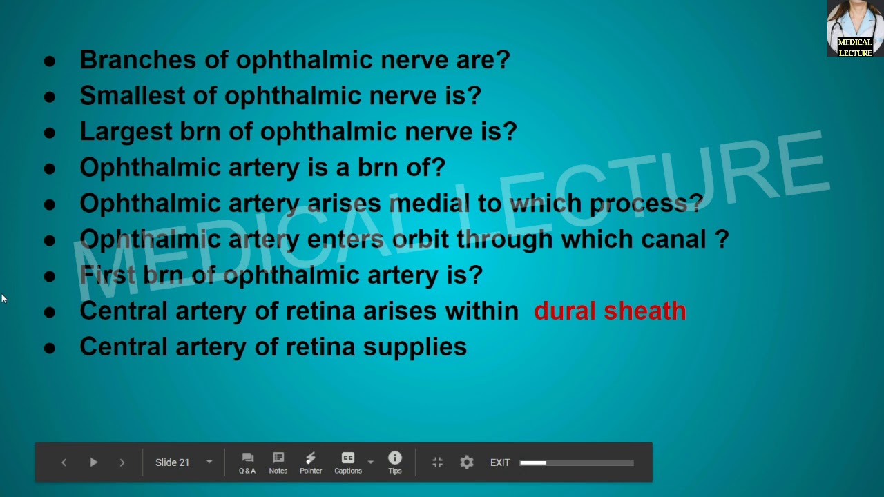 ANATOMY IMP NEET P.G. NOTES + MCQs + ONE LINERS || ORBIT || MEDICAL ...