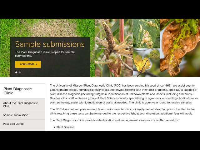 Plant Diagnostic Clinic | MU Extension