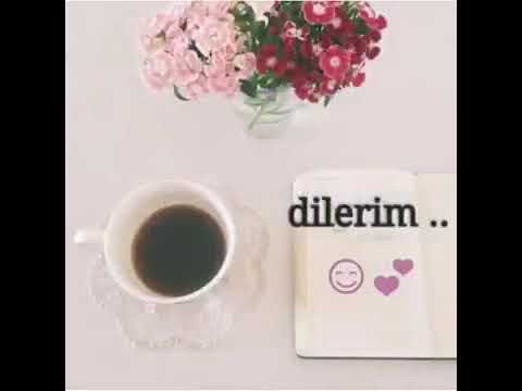 Watsap üçün video