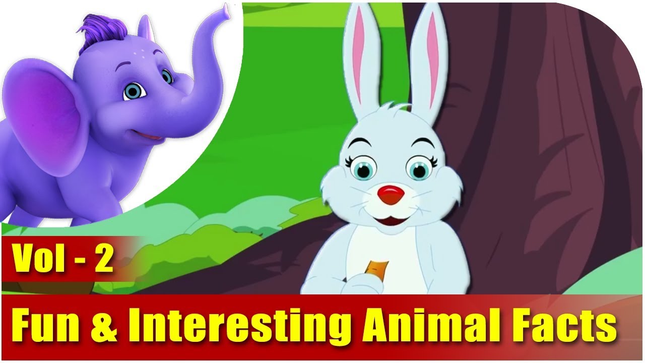 Fun & Interesting Animal Facts - Vol 2 - YouTube