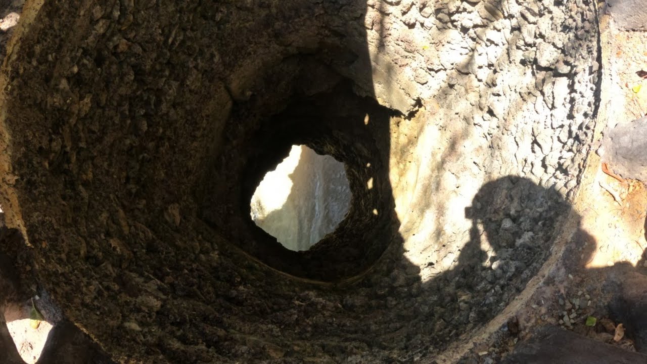 Exploration of Caves in Puerto Rico🇵🇷-travel video (Tourismo) - YouTube