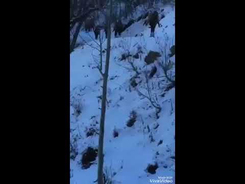 Türk askeri vuruyor