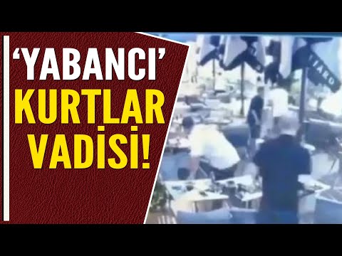 VADİDE SAHNE ONLARIN!