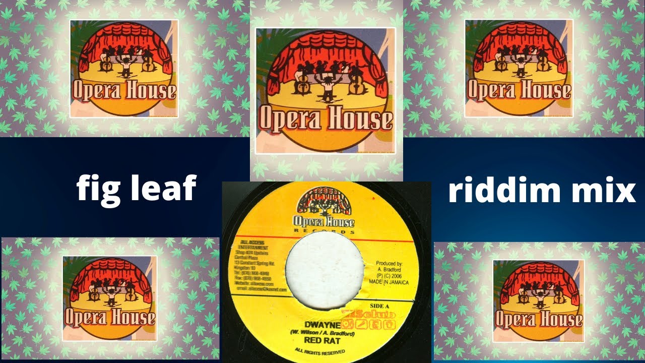fig leaf riddim mix 1997 dancehall opera house - YouTube