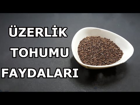 ÜZERLİK TOHUMU FAYDALARI