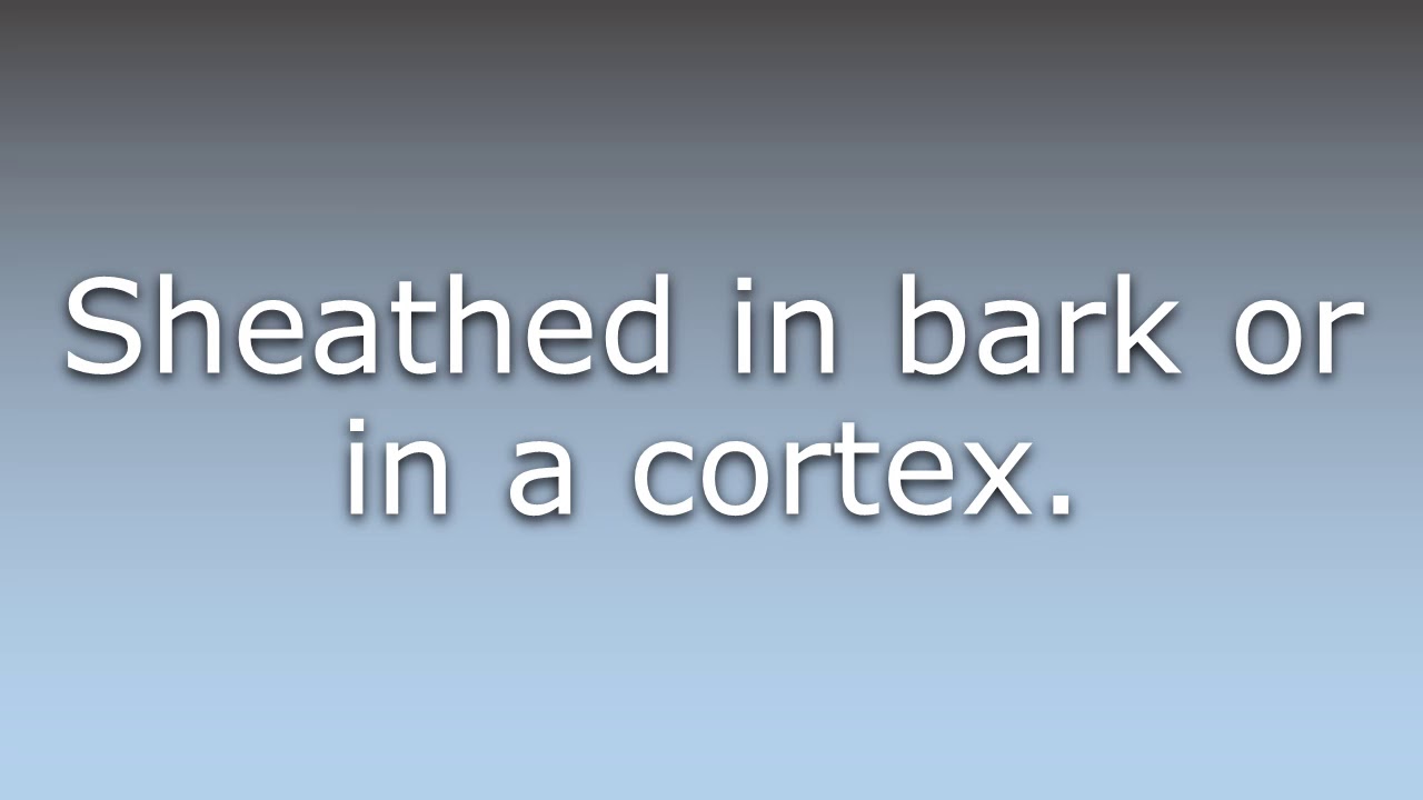 What does Corticate mean? - YouTube