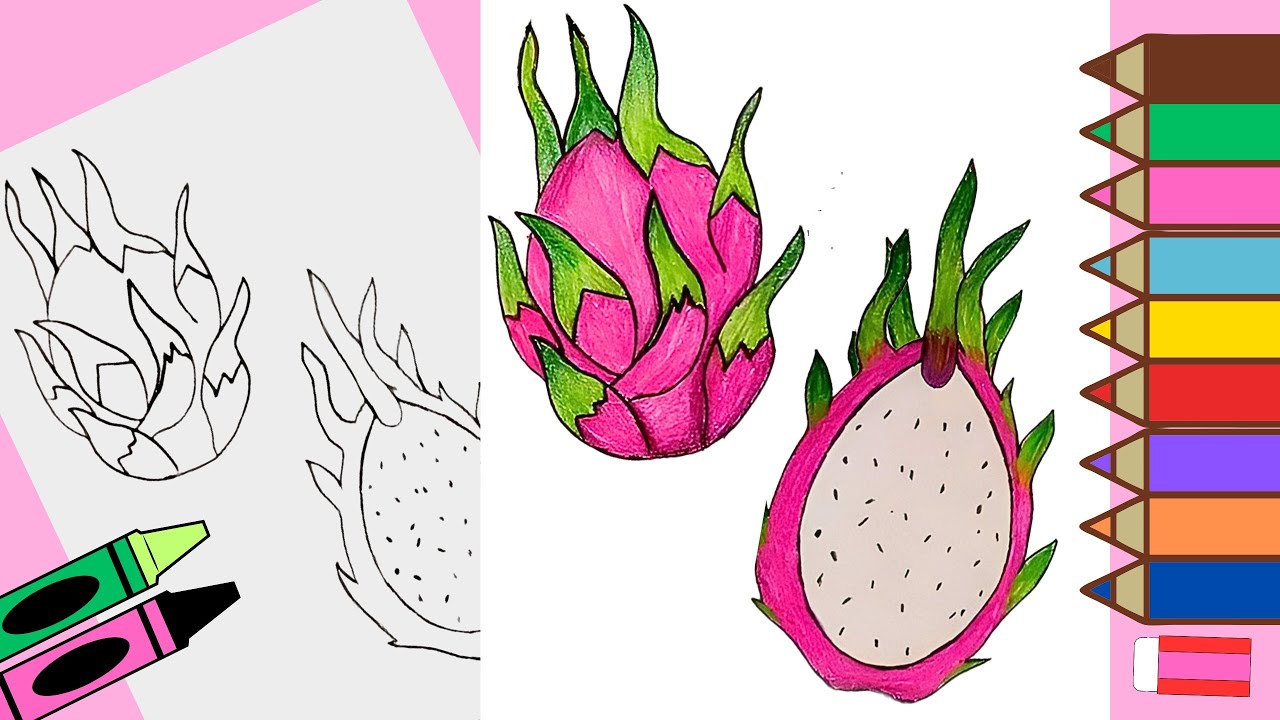 How to draw dragon fruit step by step | Dragon fruit drawing tutorial ...