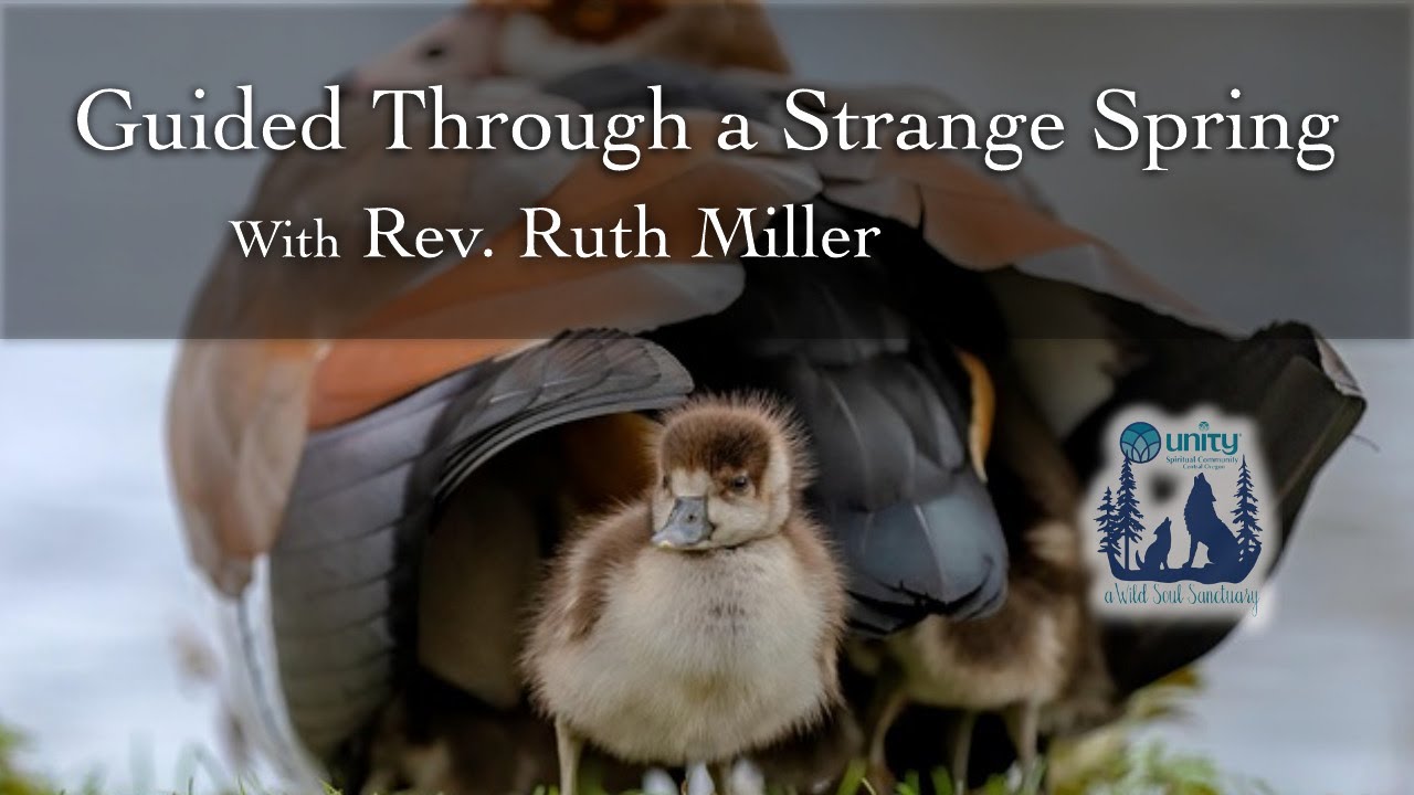 Guided Through a Strange Spring, with Rev. Ruth Miller - talk only ...