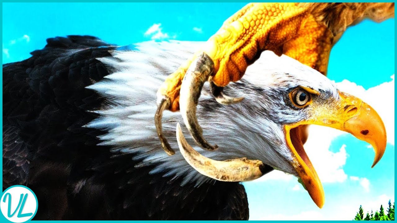 Eagles Meet Their Match: Even Eagles Are Afraid of This Deadly Bird ...