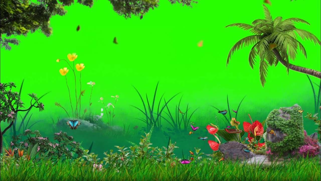 Green screen vimage // green screen vimag background // green screen ...