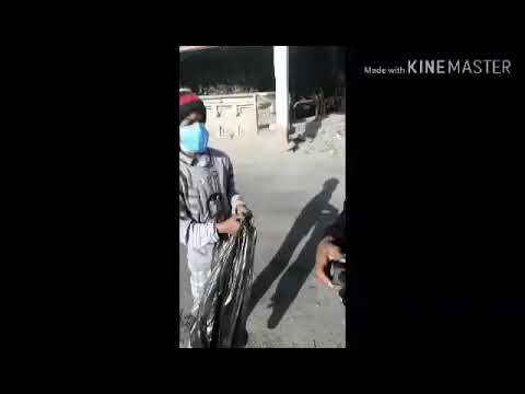 معانات الأطفال علئ جسر الزيتون ناصريه و الأصح أصبح جسر الشهداء ذي قار