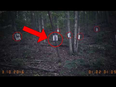 Ormanda Kameraların Kaydettiği Açıklanamayan Anlar