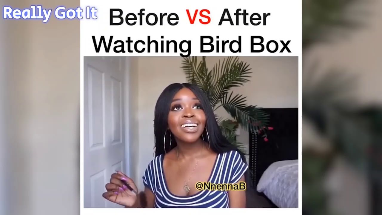 BEST BirdBox Memes! - YouTube