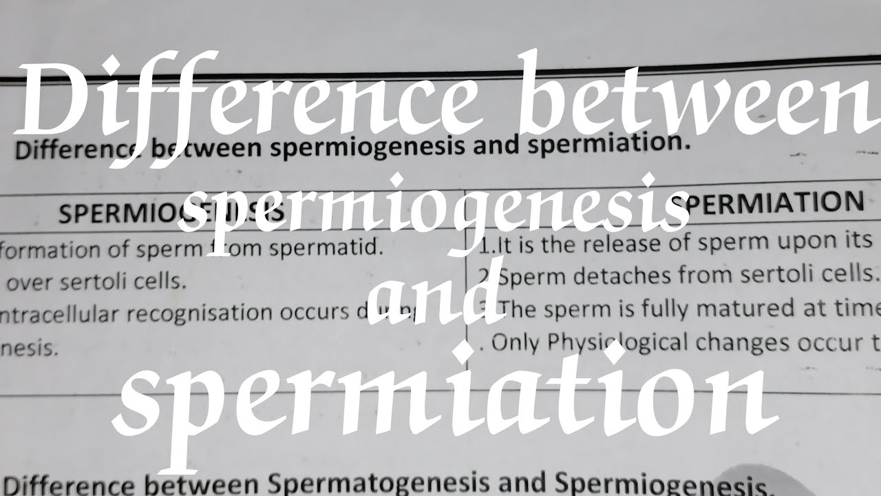 Difference between spermiogenesis and spermiation , class 12 biology ...