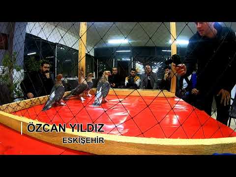 Biz Kuveyt diyoruz ama dünya \