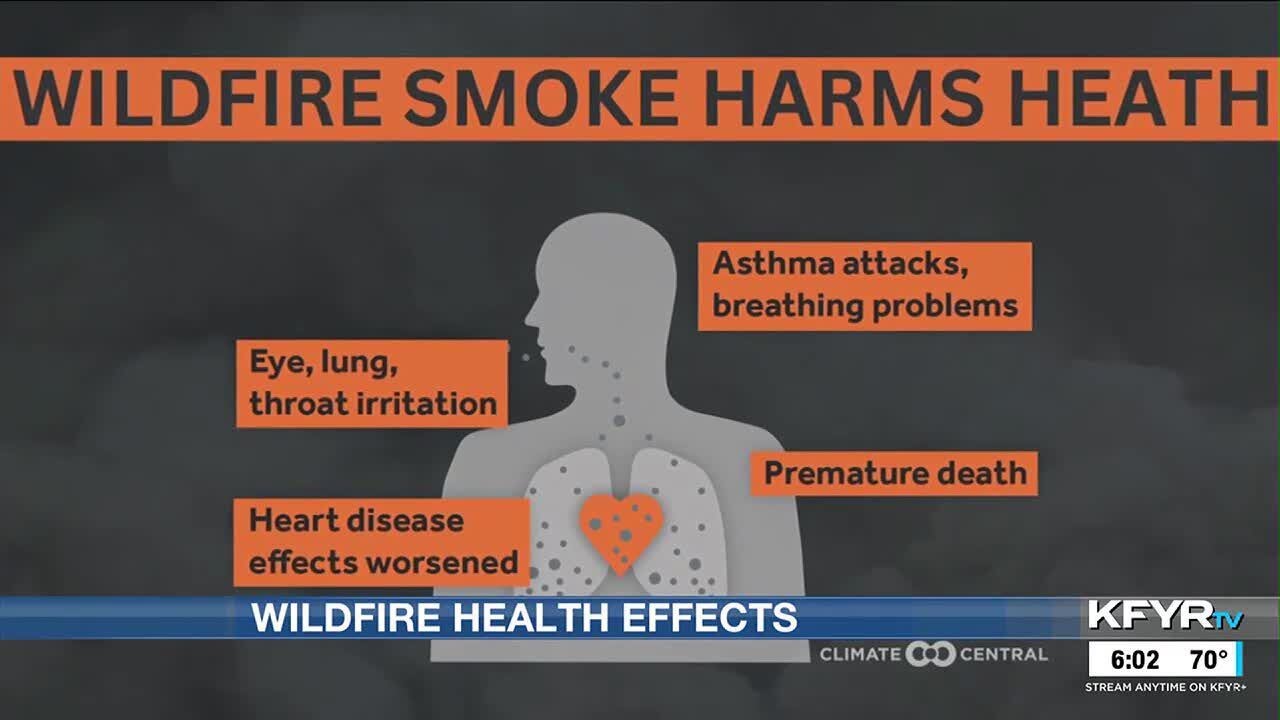 Canadian wildfires could cause health problems for those with lung ...