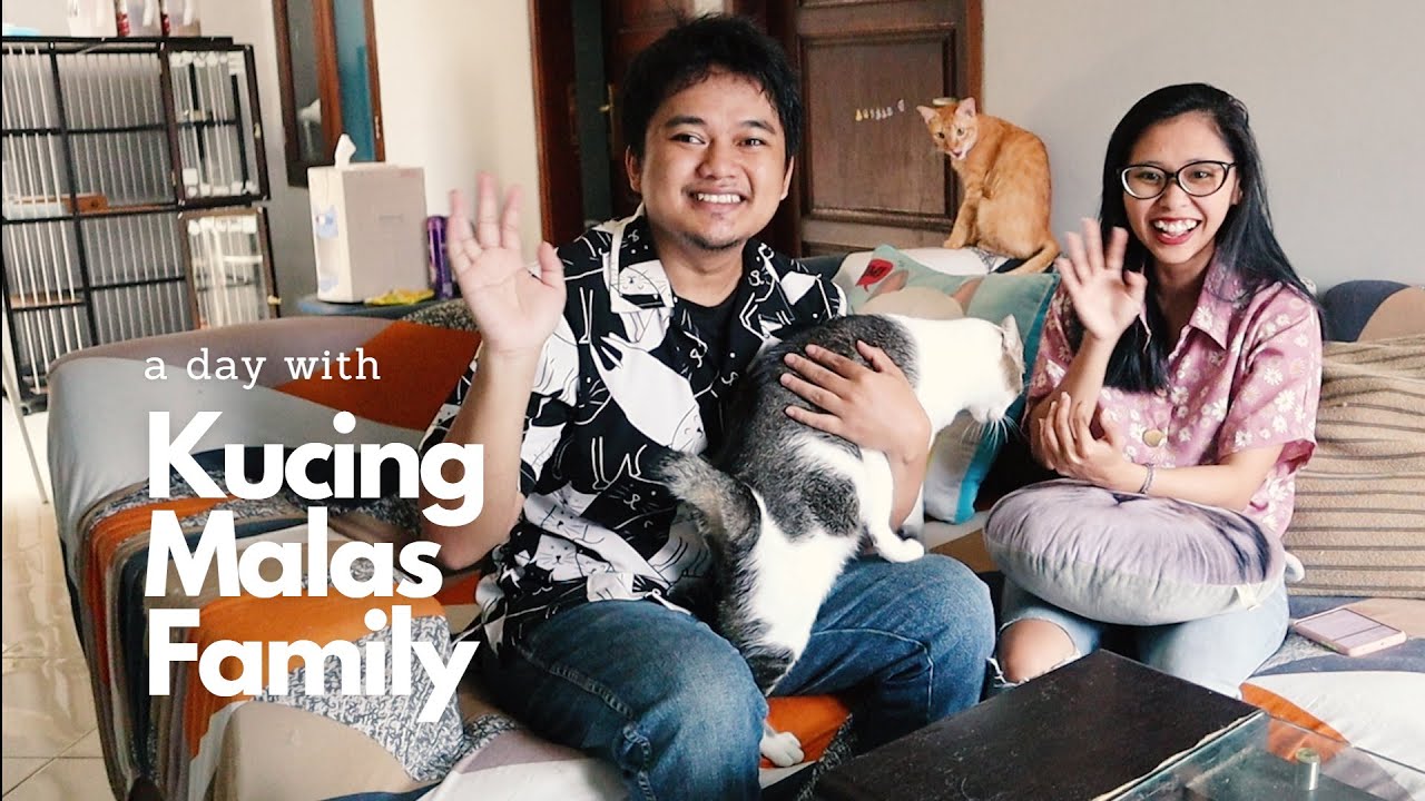 A Day With Kucing Malas Family: VLOG Kucing Part 1 - YouTube