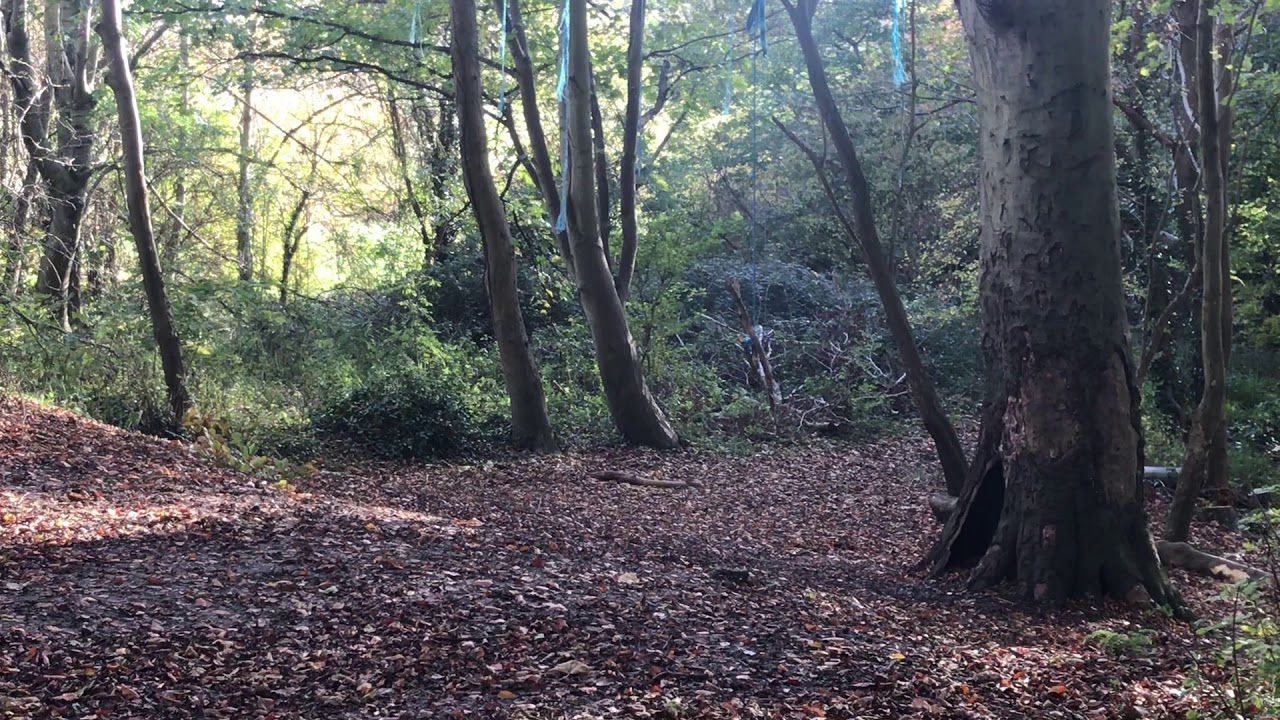 Penhill Copse, Swindon - YouTube