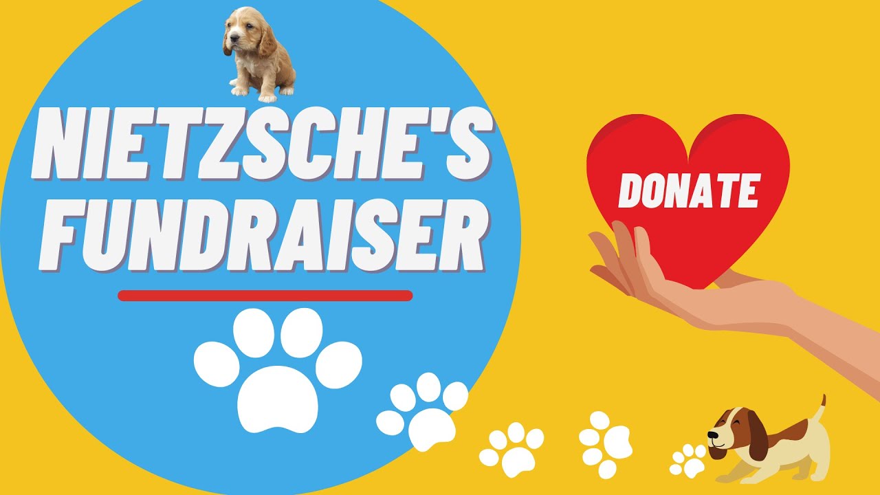 Help Nietzsche Find His Niche Again - YouTube