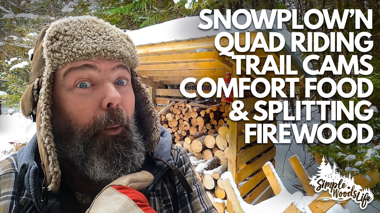 Fresh snow makes winter in the forest way more fun! - YouTube
