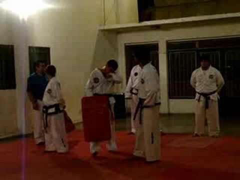 taekwondo hwarang 12/07/2008