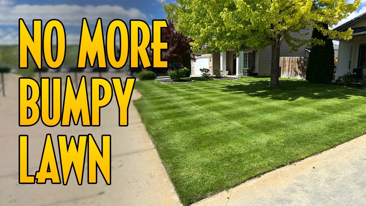 How to Level Your Bumpy Lawn - YouTube