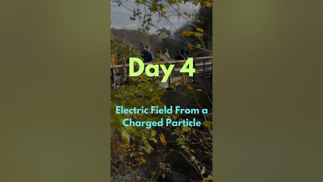 DAY 4: How to Visualize Electric Fields from a Charged Particle ...