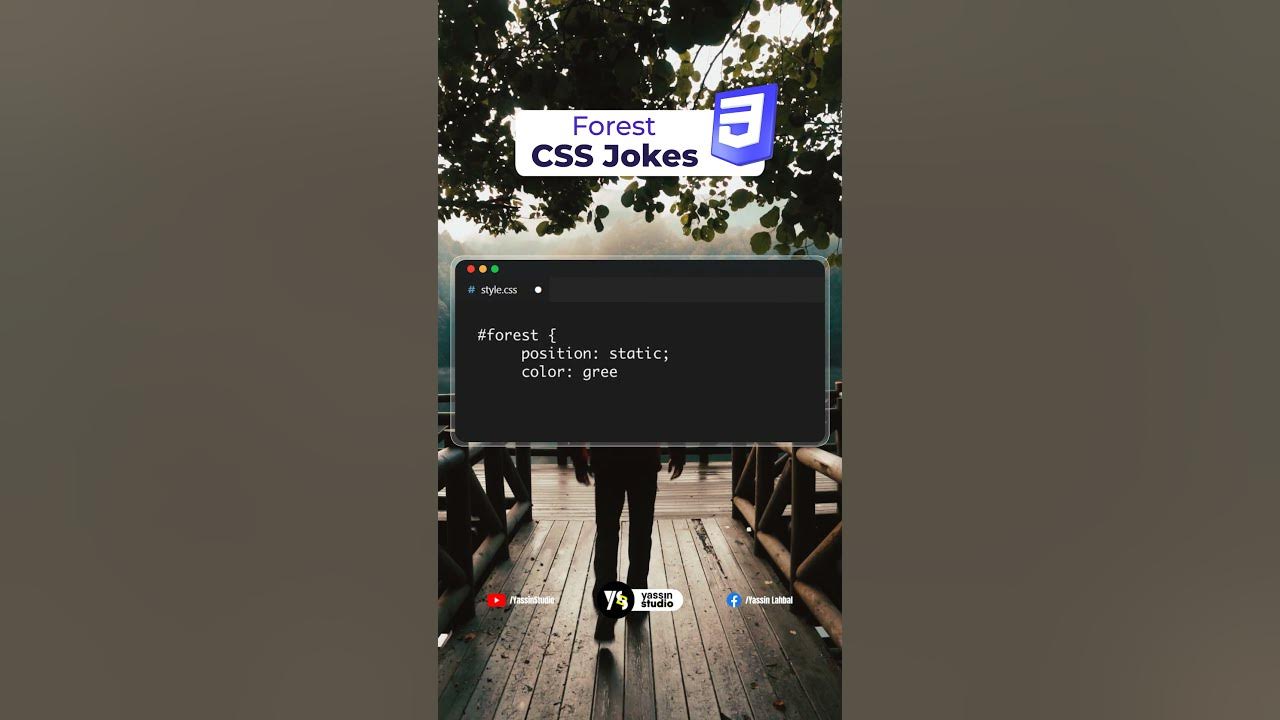Forest | CSS Jokes #css #shorts - YouTube