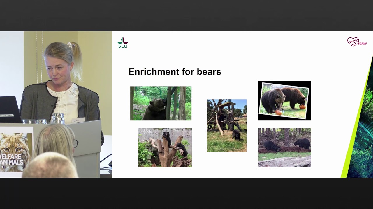 Training of dogs on wild animals in enclosures - Elina Åsbjer - YouTube