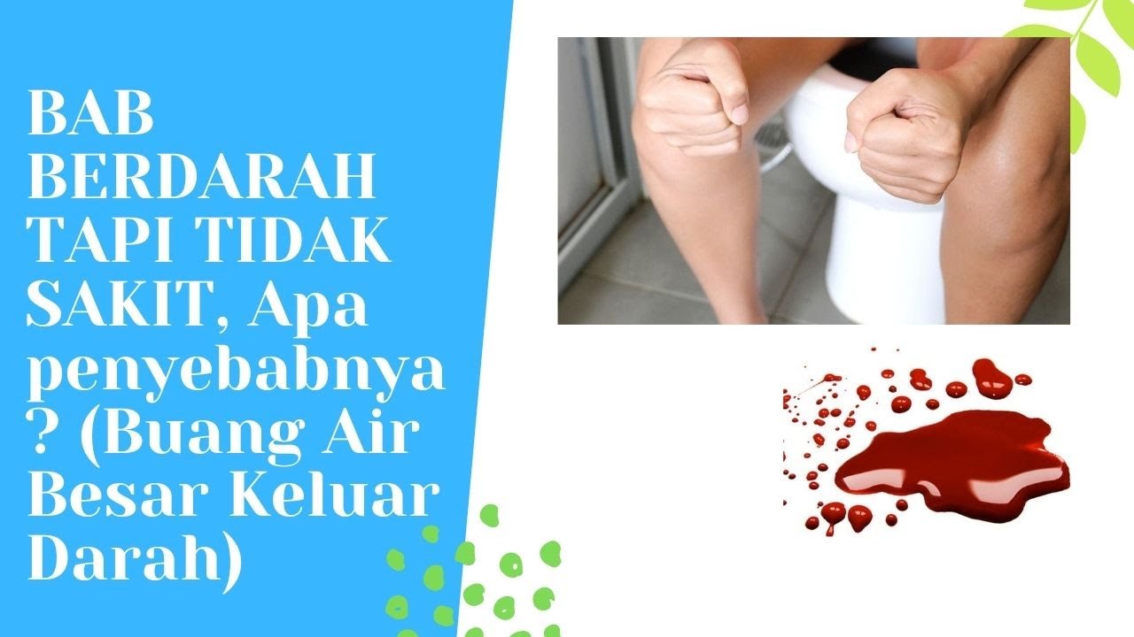BAB BERDARAH TAPI TIDAK SAKIT, Apa penyebabnya Buang Air Besar Keluar ...