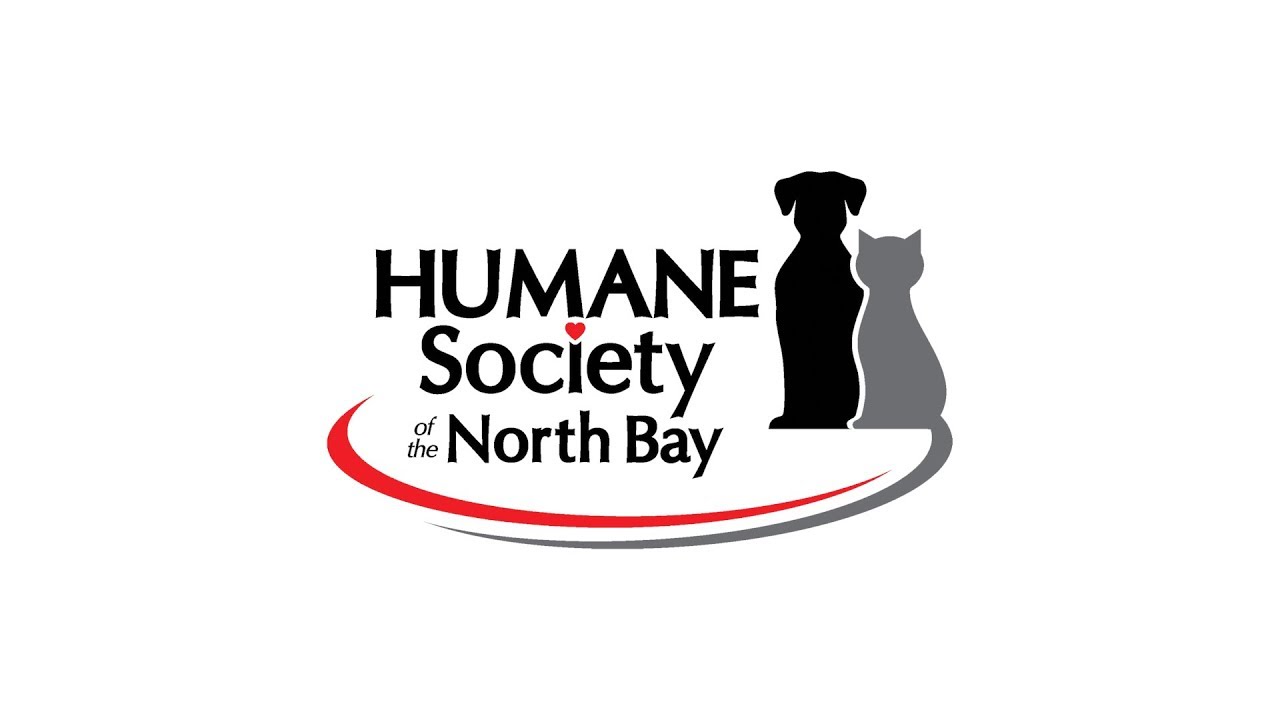 Humane Society of the North Bay - YouTube