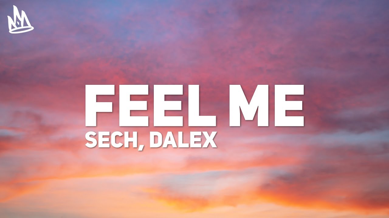 Sech, Dalex - Feel Me (Letra / Lyrics) - YouTube