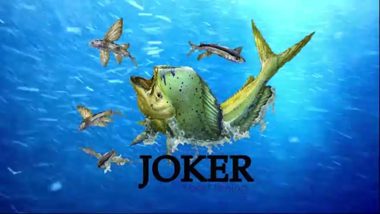 JOKER SPORT Fishing - YouTube