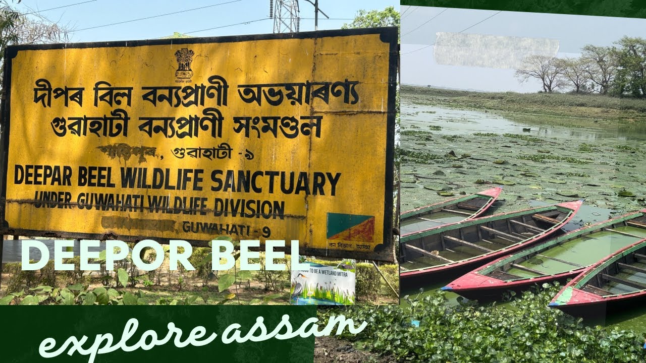 Deepor Beel The Birds Sanctuary - YouTube