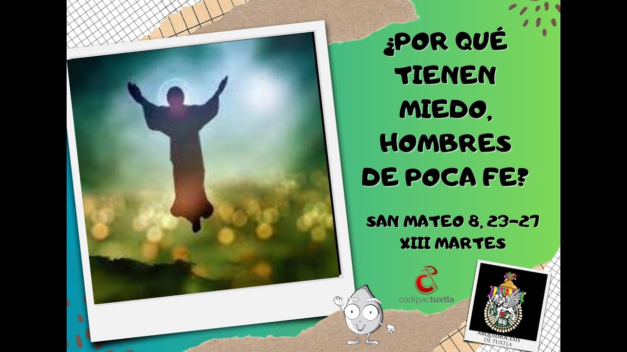 Evangelio del día san Mateo 8, 23-27 XIII Martes 2023-07-04 Mons. Fabio ...