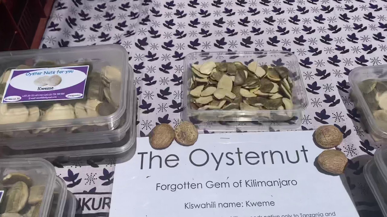 Africa is Calling. Oyster nuts. - YouTube