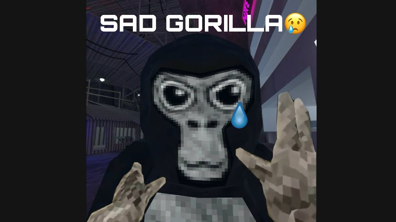 This gorilla tag player in brick tag was sad - YouTube