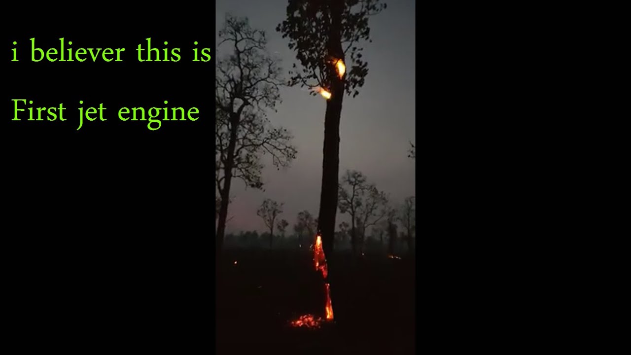 Jet engine from tree - YouTube